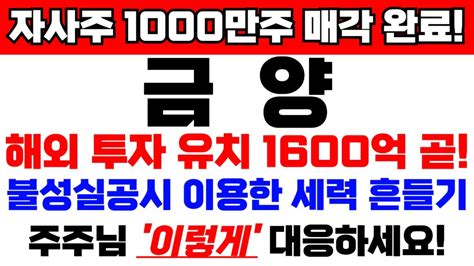 금양 주가전망 🚨긴급속보🚨자사주 1000만주 매각 완료 해외 투자 유치 1600억 곧 불성실공시 이용한 세력 흔들기 자금 조달 막바지 주주님 이제 이렇게
