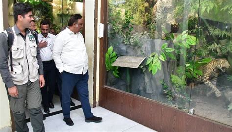 Leopard Safari To Begin Soon At Sanjay Gandhi National Park Maha