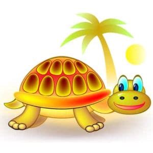 How To Draw A Turtle Step By Step Methods The Turtle Hub