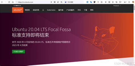 在 Windows 系统下使用 Vmware 安装 Ubuntu 2404 Lts 系统ubuntu官网镜像下载 Csdn博客
