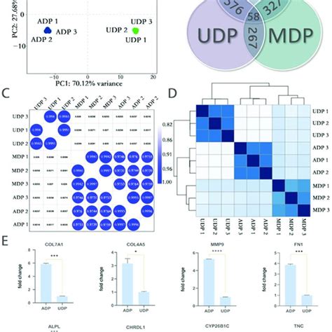 A General View Of Gene Expression Pattern And Rt Pcr Verification On