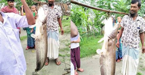 বড়শিতে ধরা পড়ল ১৮ কেজি ওজনের বোয়াল