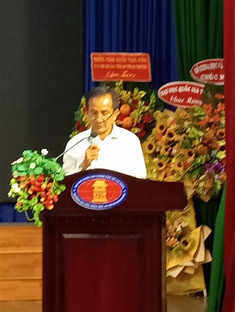 mytree vn