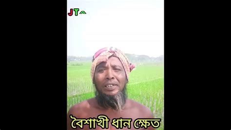 অপরূপ সাজে সেজেছে বৈশাখী ধান ক্ষেত ২৫ বৈশাখী ধানক্ষেত অপরুপ দৃশ্য Youtube