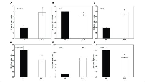 Quantitative Reverse Transcriptase Polymerase Chain Reaction