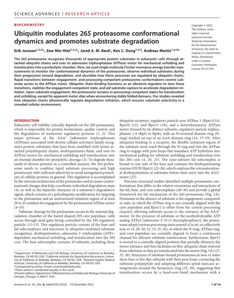 Pdf Ubiquitin Modulates 26 S Proteasome Conformational Dynamics And Promotes Substrate Degradation