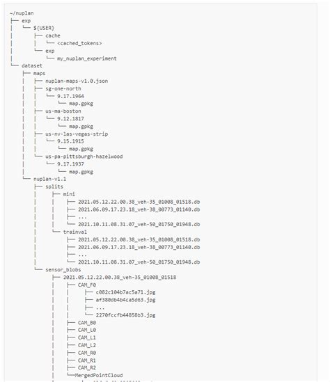 Nuplan数据集的使用 Hanss Notebook