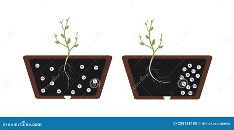 Chemotropism Stock Illustrations 5 Chemotropism Stock Illustrations Vectors And Clipart