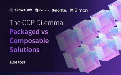 Snowplow On Linkedin The Cdp Dilemma Packaged Vs Composable Solutions