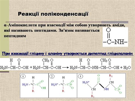 Презентація на тему Амінокислоти Пептиди Білки — презентації з хімії Gdz4you