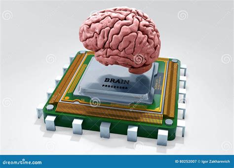 Cpu Is The Brain Of Computer Explain At Tammy Jackson Blog