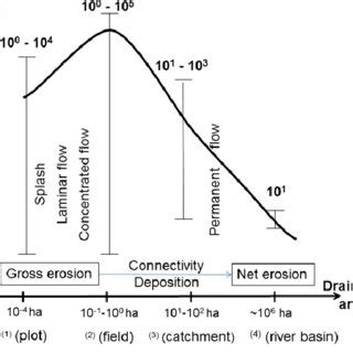 Theoretical Relationship Between Spatial Scale And Published Mean Download Scientific Diagram