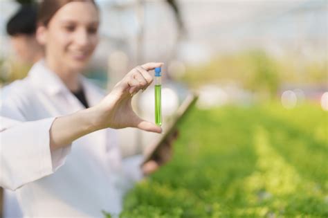 여성 농부는 수경재배 농장에서 채소를 수확하고 품질을 감사한다 유기농 신선한 채소 수경재배 채소 텃밭 수확 소규모 사업 개념으로 일하는 농부 검사 보기에 대한 스톡 사진 및