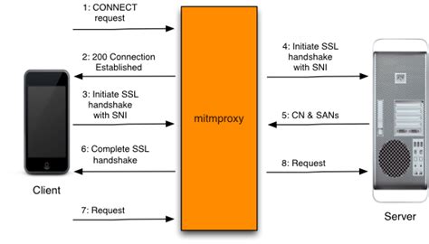 how mitmproxy works