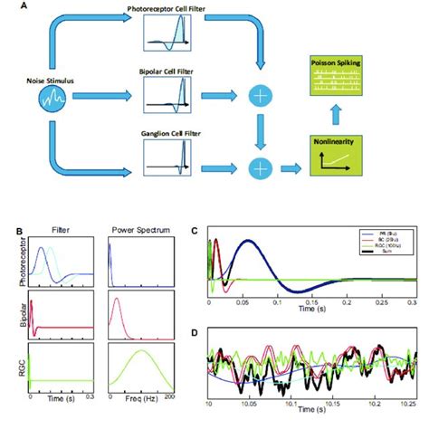 Spatiotemporal Receptive Fields Download Scientific Diagram