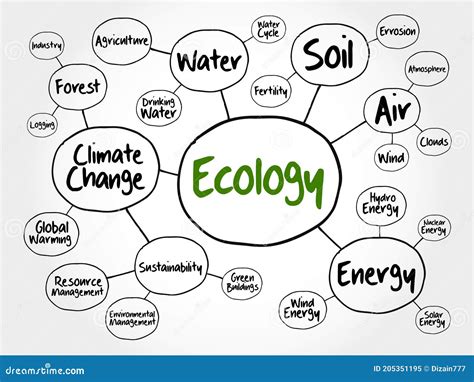 Biodiversidad Y Salud Actividad De Ecolog Mind Map The Best Porn Website