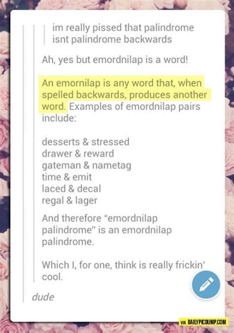 Palindrome On Tumblr