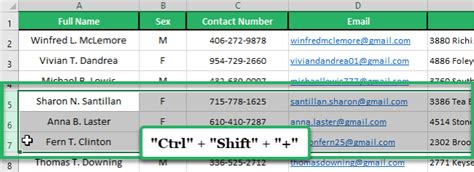 How To Insert Multiple Rows In Excel And Single Rows Too
