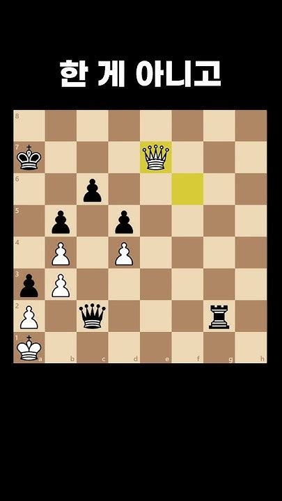 다 이겨놓고 말아먹은 체스 세계 챔피언 Youtube