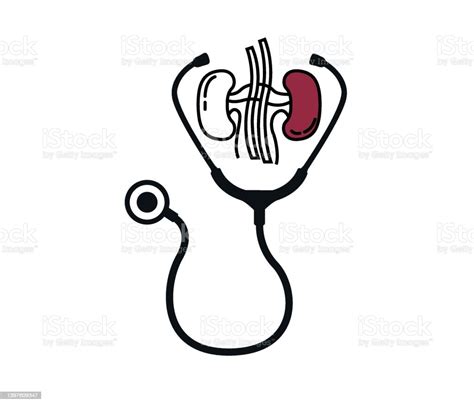 신장 건강 아이콘입니다 의료 및 의학 개념 국립 신장의 달 벡터 일러스트 레이 션 배너 신장 질환의 예방을위한 포스터 개념에 대한 스톡 벡터 아트 및 기타 이미지 Istock