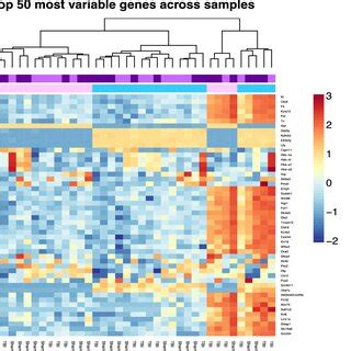 Heatmap Of Hierarchical Clustering Of Samplesfor The Top 50 Most Download Scientific Diagram
