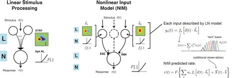 Nonlinear Input Model
