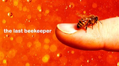 The Last Beekeeper Wow Presents Plus
