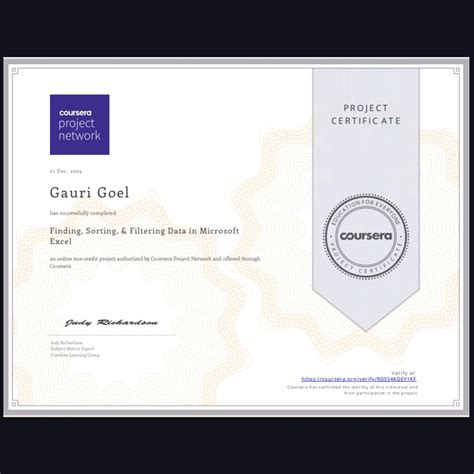 microsoftexcel coursera dataanalysis visualization productivity