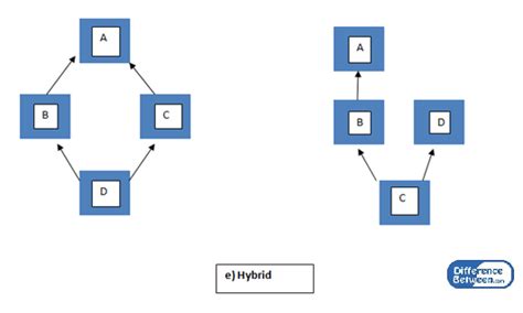 Difference Between Superclass And Subclass Compare The Difference