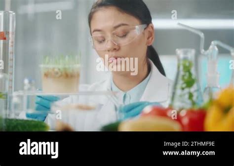 Sprouted Seedling Stock Videos And Footage Hd And 4k Video Clips Alamy