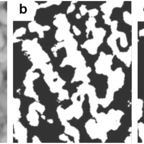 A Representative Sem Image Section From A Fib Cut Surface Before A