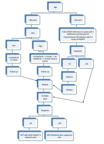 Burkitt Leukemia Lymphoma