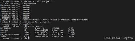 docker 安装openjdk11并启动运行 docker openjdk csdn博客