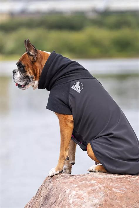 Одежда для собак в Красноярске Интернет магазин Балу