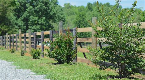 TreeDiaper Zynnovation LLC