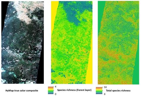 Msc Opportunities Remote Sensing In Ecology And Conservation Eagle