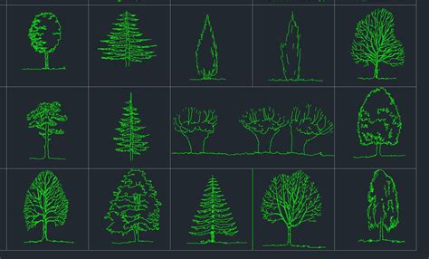 Trees Landscape D CAD Blocks Architectural Autocad Plants Blocks Trees Plan Elevation