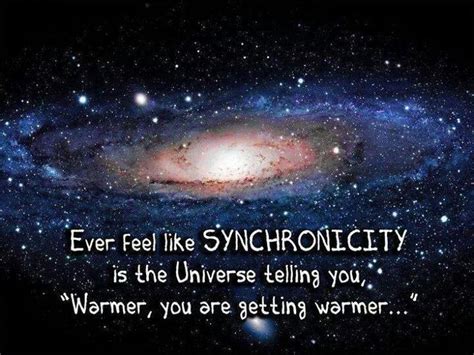Synchronicity Quotes Quotesgram