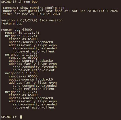 Advanced Vxlan With Vpc Configuration And Verification Of L2vni And