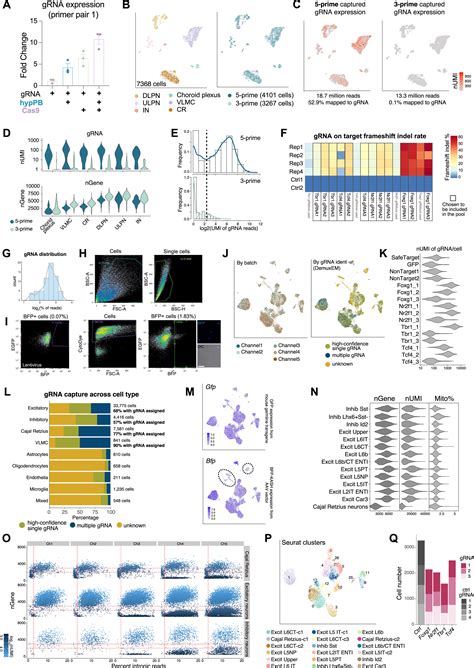 Massively Parallel In Vivo Perturb Seq Reveals Cell Type Specific Transcriptional Networks In