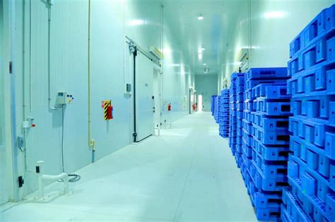 Revolutionizing Indias Agricultural Landscape The Surge In Cold Storage Infrastructure