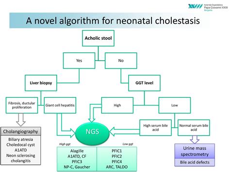 Itteri A Bilirubina Diretta Ad Insorgenza Precoce Ppt Download