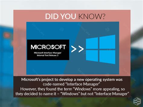 Why Did Microsoft Name Their Os Windows Servercake India Why Did Microsoft Name Their Os Windows Servercake India