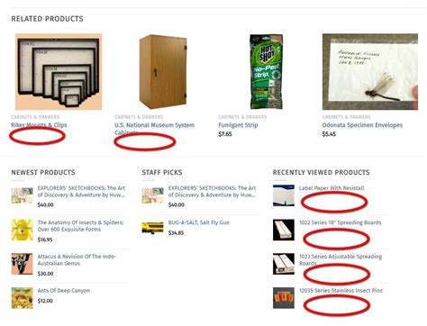 Php Disable Variable Product Price Range On The WooCommerce Single Product Pages Only Stack