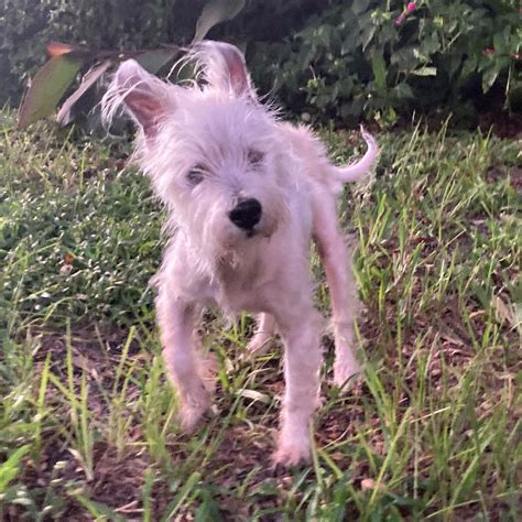 Sage Oracle Sage Oracle Added A New Photo Sage Oracle Sage Oracle Added A New Photo