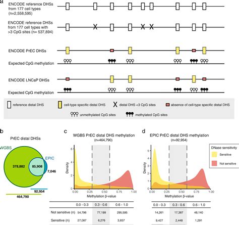 Critical Evaluation Of The Illumina Methylationepic Beadchip Microarray For Whole Genome Dna
