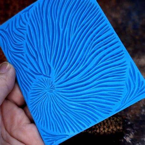 Nautilus Shell Sweetybijou