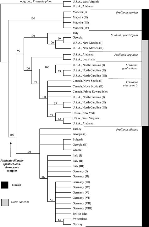 Strict Consensus Of 78 Equally Parsimonious Trees With Bootstrap
