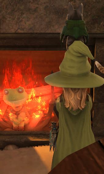 Witch Apprentice Eorzea Collection