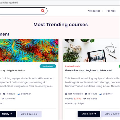 Salesforce Administrator Vs Salesforce Developer Course What To Choose Infyni Blog